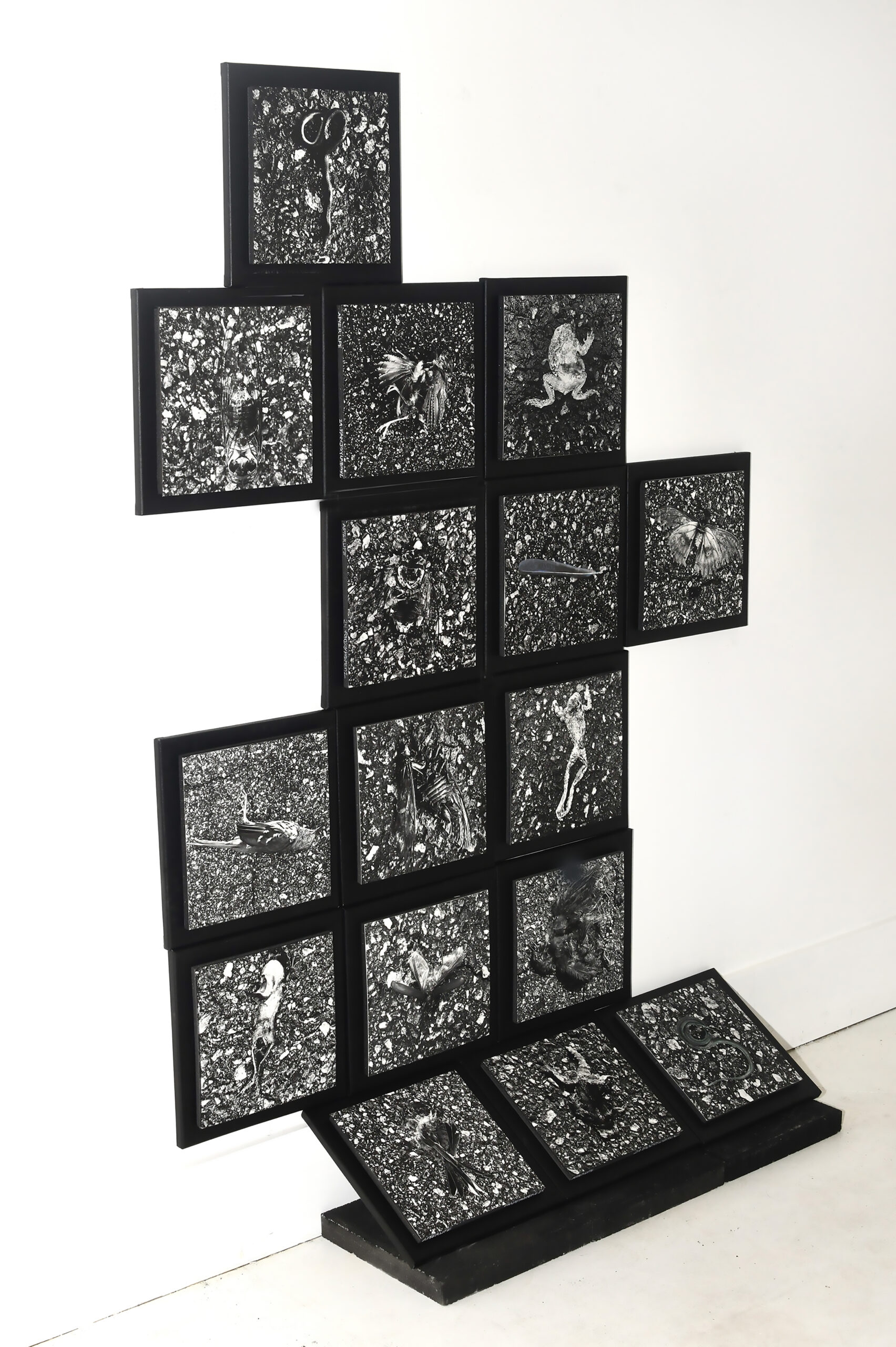 AfterLife | Raleigh Fine Arts